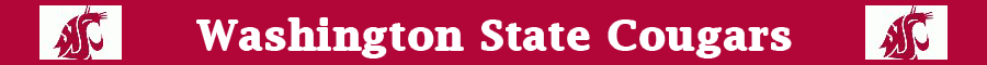 Washington State Cougars Football Helmets | Officially Licensed — Game ...
